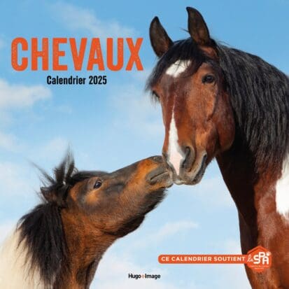 Calendrier mural chevaux 2025 - Hugo Publishing